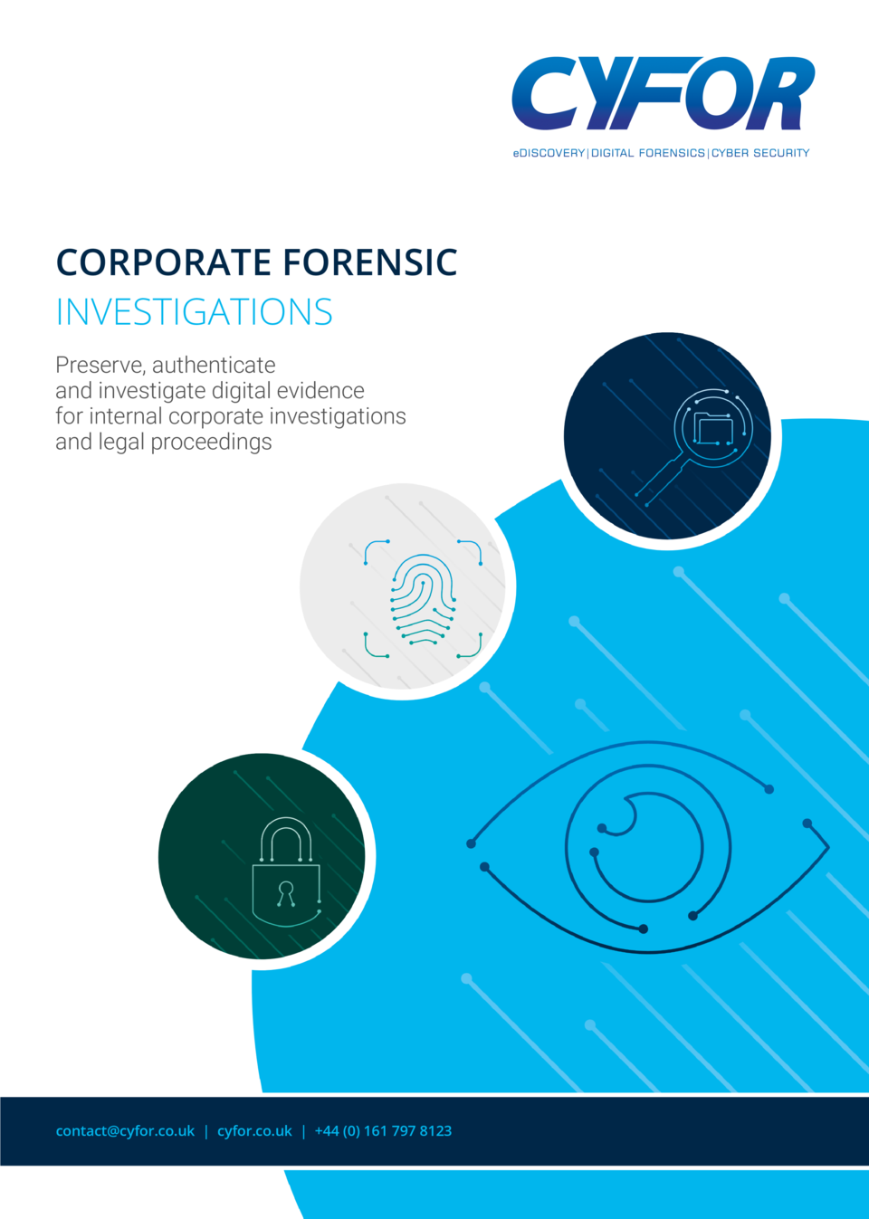 Corporate Investigations
